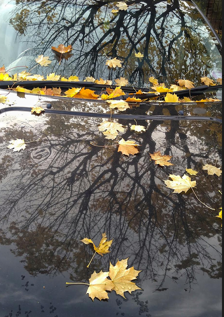 Andrew Simms - The case for an Ecological Interest Rate - Brave New Europe